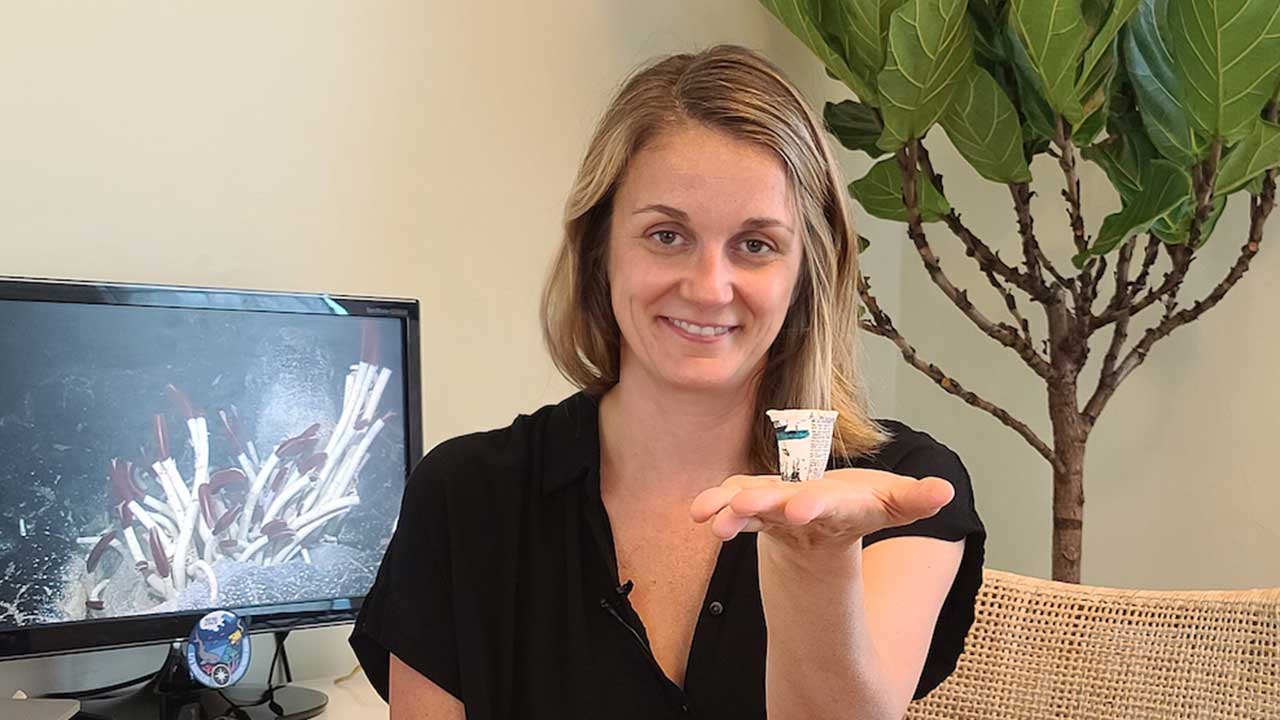 Learn All About Ocean Wildlife from Expedition Leader Allison Fundis ...